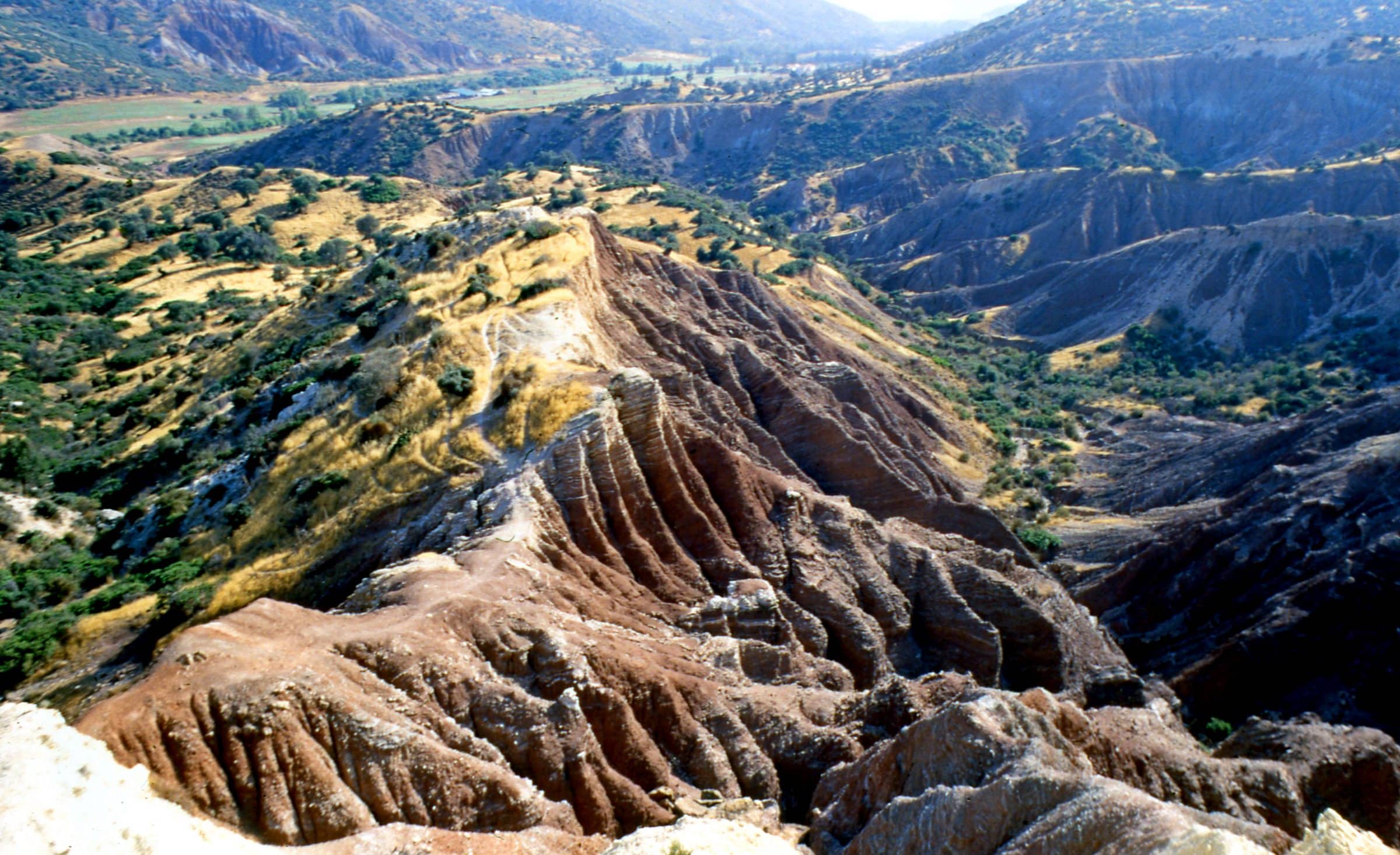 Excursions & Paphos Tours - Cyprus Exploration Unlimited